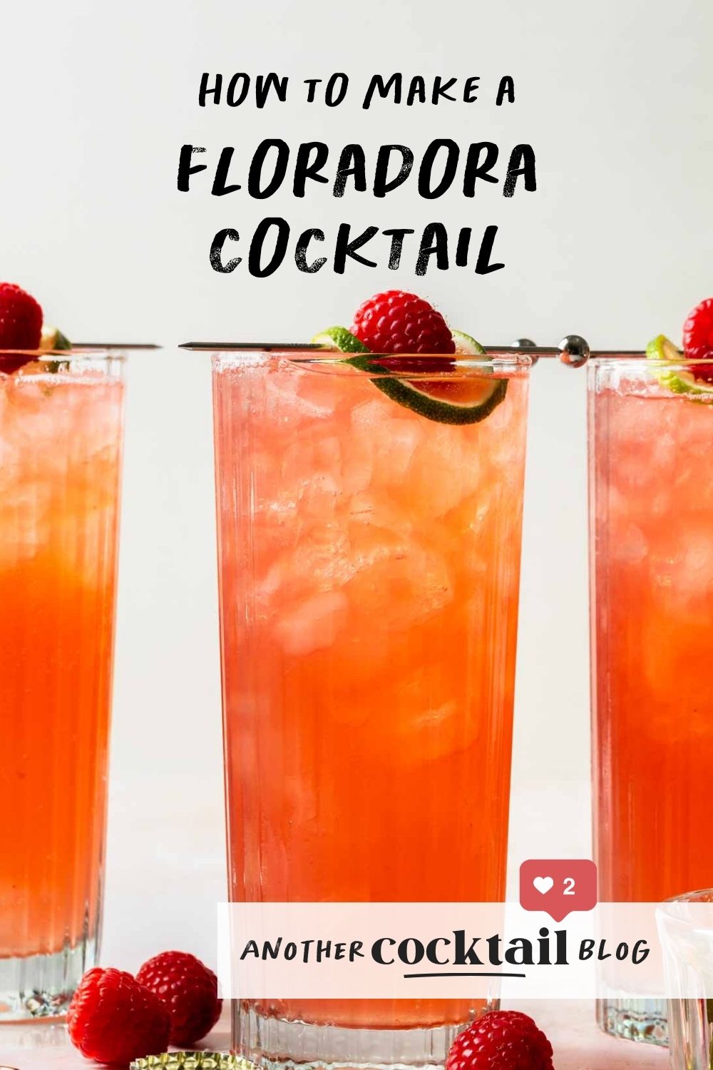 Floradora Cocktail - Another Cocktail Blog